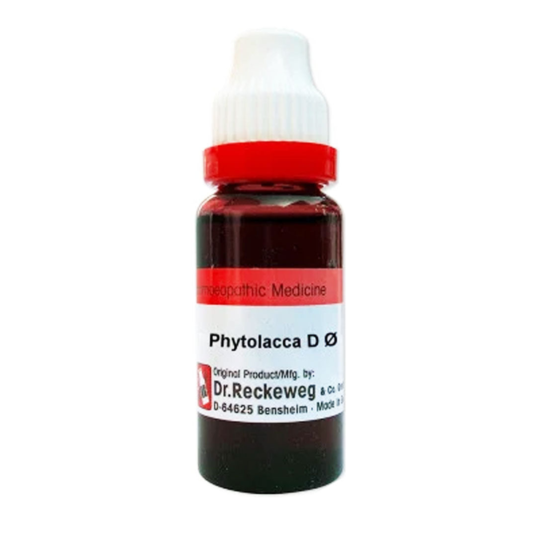 Dr. Reckeweg Phytolacca Decandra, 20ml online in Pakistan | Homeopathic ...